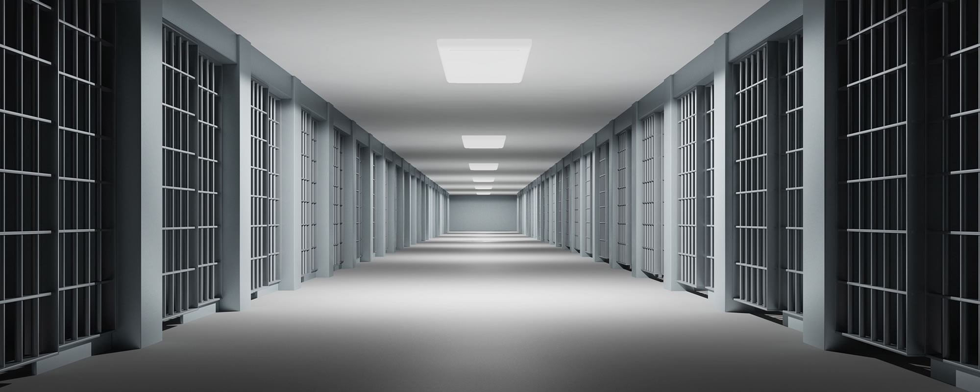 Hollis Scott Custodial Locks